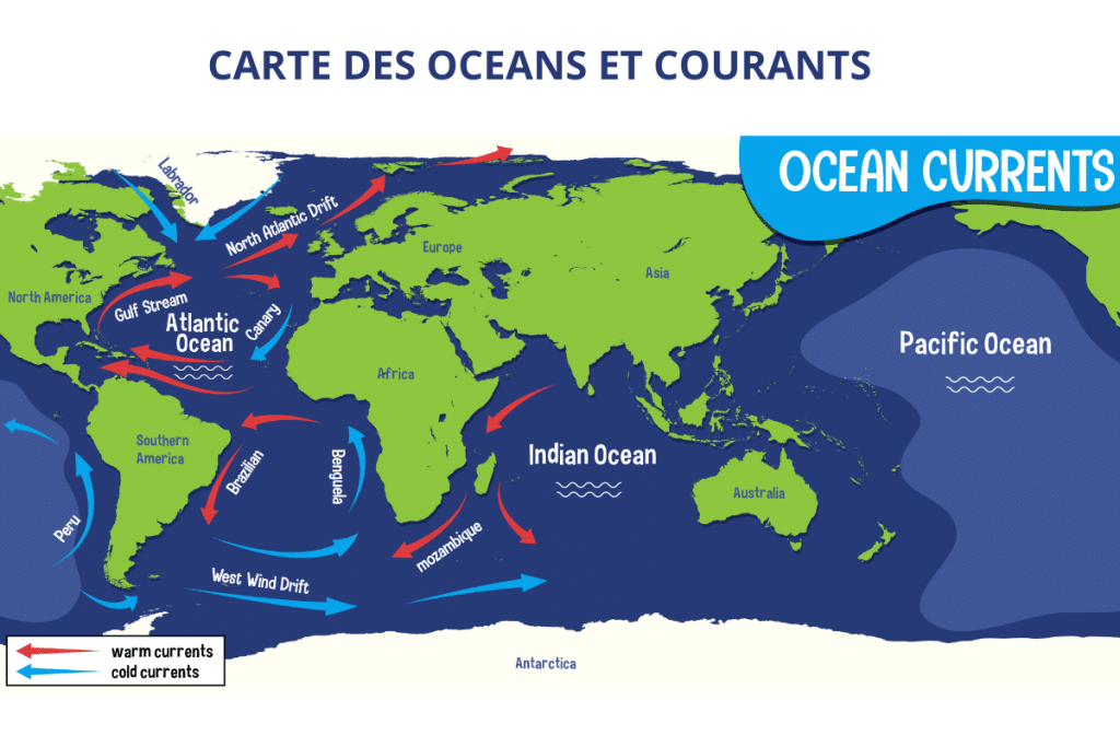 Carte du monde 2026 : Pays, continents, capitales, océans